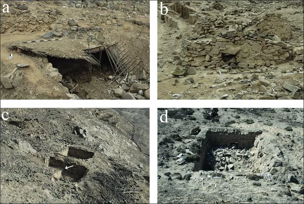 Деякі з Чулп досліджували на місці. (Зображення: J. L. Bongers et al., 2022/Antiquity)