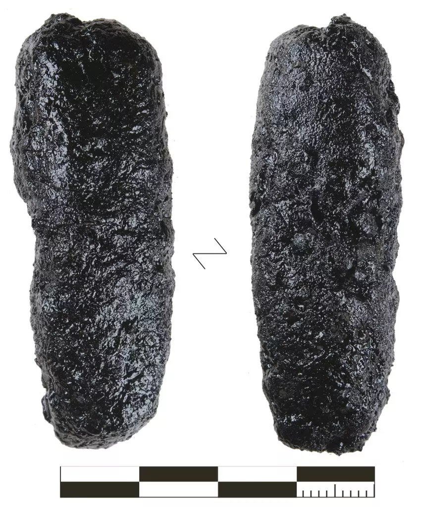 Նոր փորձը բացահայտել է 200,000-ամյա նեանդերթալյան սոսինձի գաղտնիքը