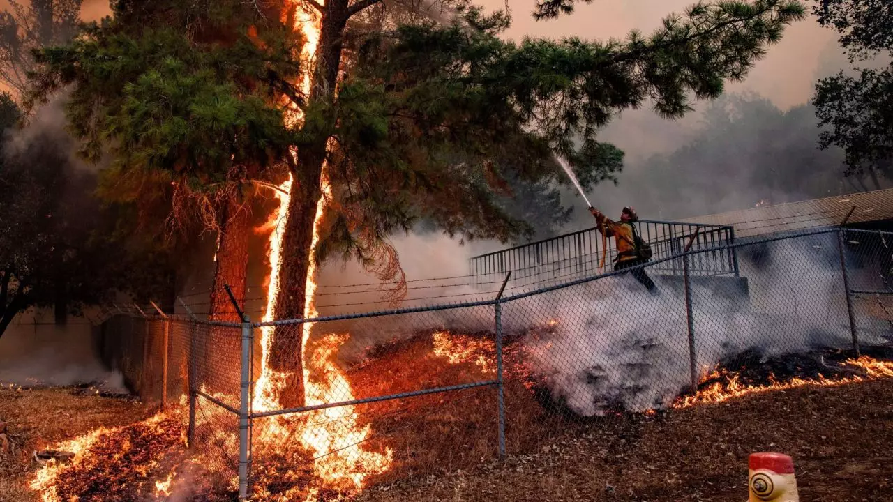 Google Maps fügt Wildfire Layer hinzu, um Ihnen zu helfen, den einen Ort zu finden, der nicht brennt