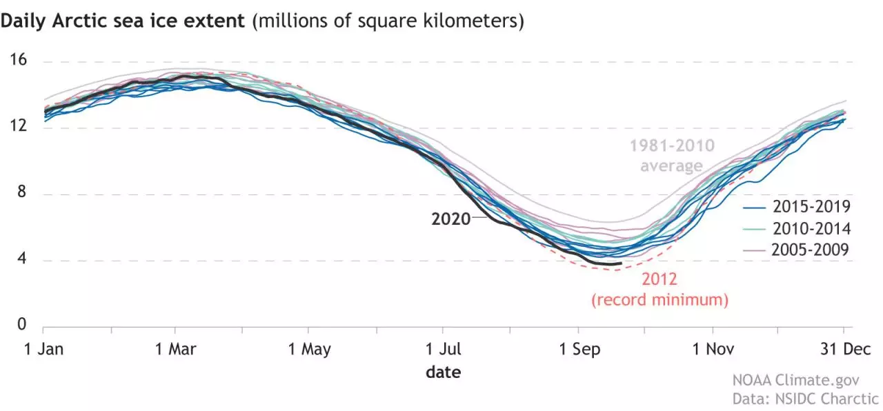 Un gráfico de la extensión diaria del hielo desde 2005. Los años 2005-2009 son de color púrpura claro, el año récord 2012 es el salmón, otros años para 2010-2014 son de color verde claro y los años 2015-2019 son azules. La línea de extensión diaria de 2020 está en negro. (Gráfico: NOAA)