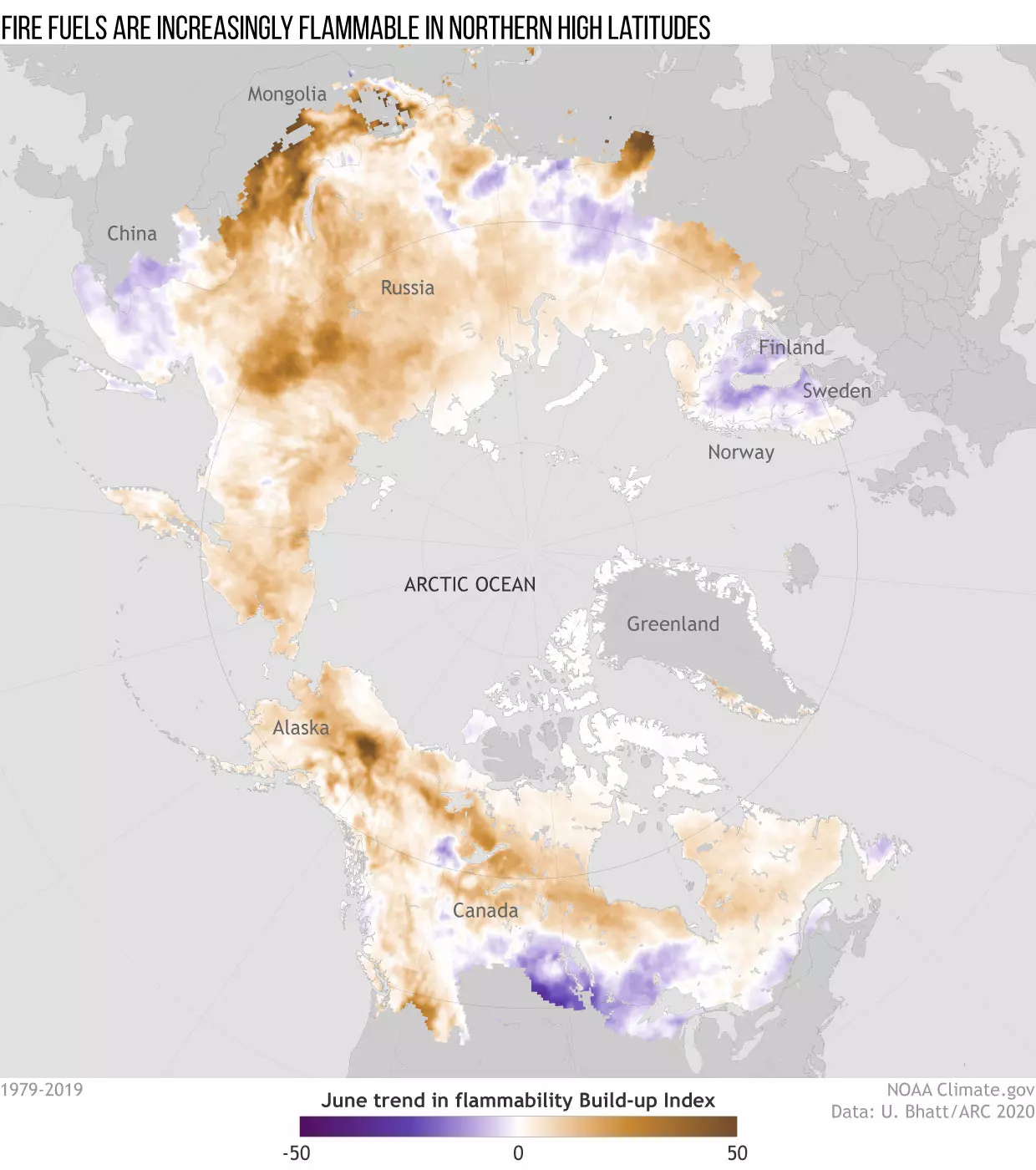 Steigende Oberflächentemperaturen haben Feuerbrennstoffe in den hohen Breiten der nördlichen Hemisphäre in den letzten 41 Jahren brennbarer gemacht. Diese Karte zeigt den Juni-Trend (1979–2019) im Aufbauindex. Braun zeigt zunehmende Entflammbarkeit an; Violett zeigt abnehmende Entflammbarkeit an. (Grafik: NOAA)