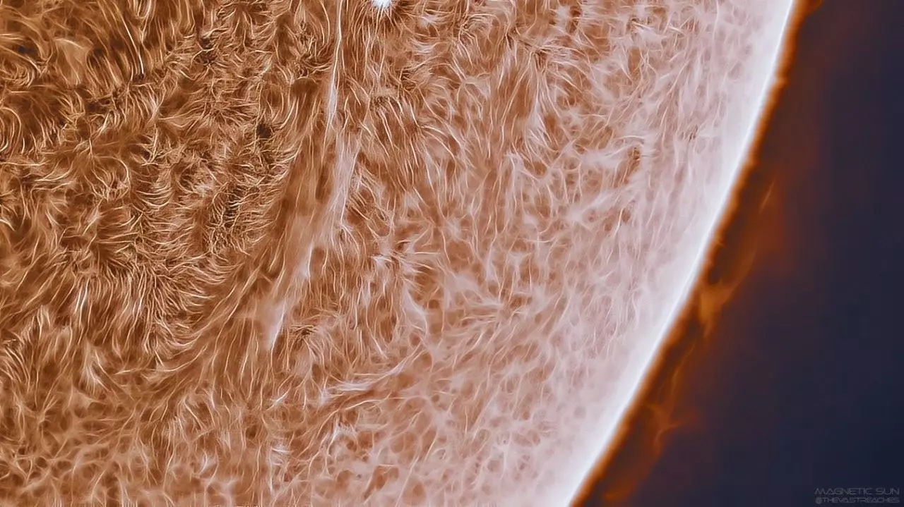 Preverjanje dejstev: NASA ni posnela te virusne fotografije 'Furry Sun'
