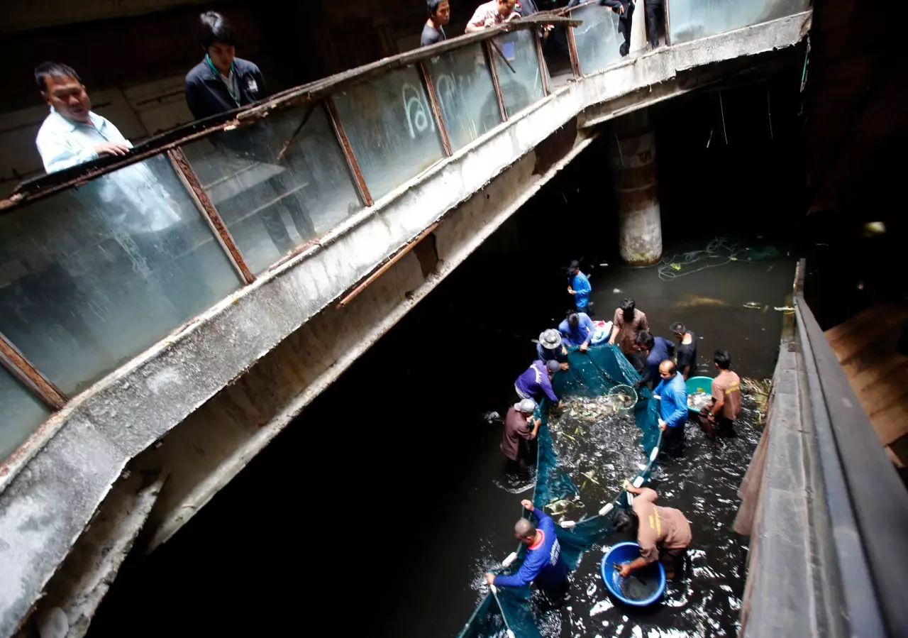Χιλιάδες ψάρια θα απελευθερωθούν από το εγκαταλελειμμένο εμπορικό κέντρο Fish Hell