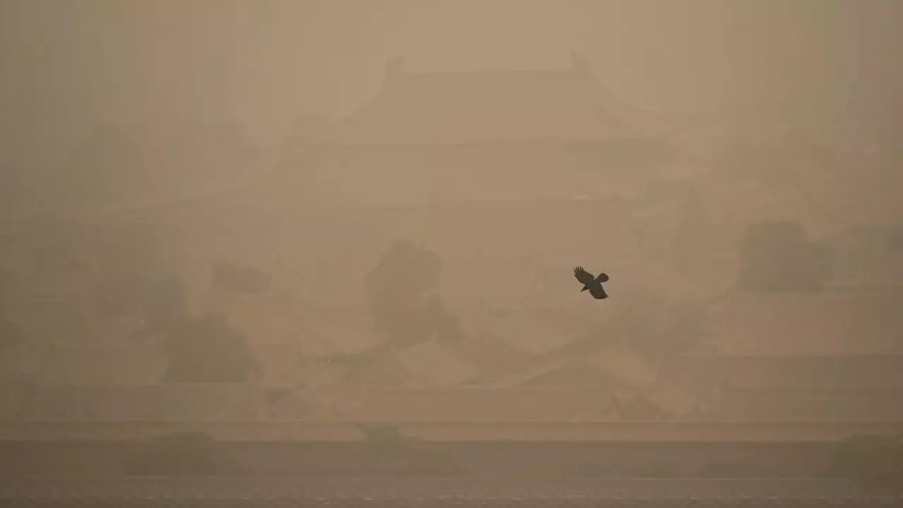 Een kraai vliegt over de Verboden Stad tijdens een zandstorm in Peking op 15 maart 2021.