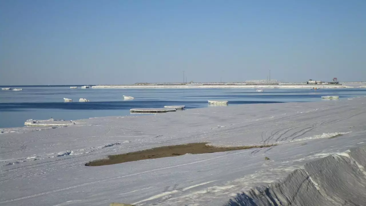 Ki jan yon fonn glas lanmè ap deranje lavi nan kòt Alaska