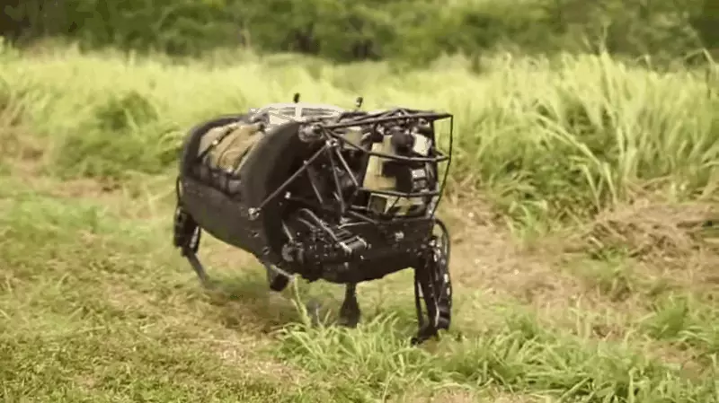 I-RIP BigDog, i-Robotic Pack Mule kaDarpa