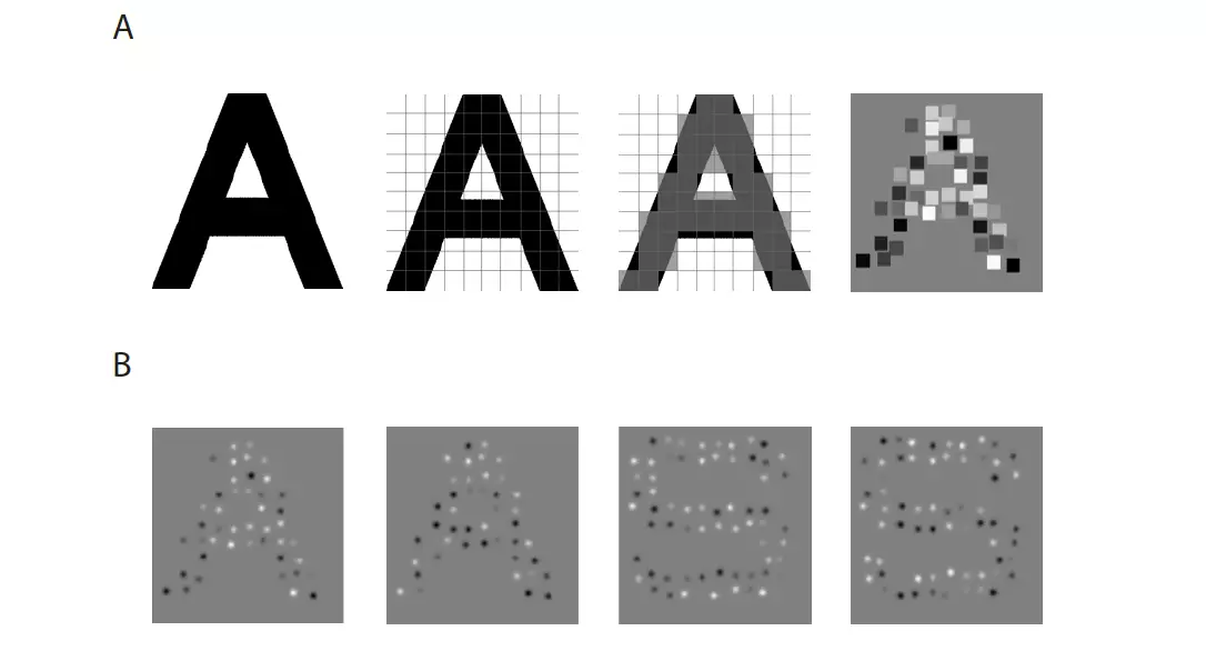 (A) ग्राफिक फॉस्फेन्ससह 'A' अक्षर निर्माण करण्याच्या पायऱ्या दर्शवित आहे. (B) 'A' आणि 'S' अक्षरे बनवणारे फॉस्फेन्सचे ठसे. (इमेज: एक्स. चेन एट अल., 2020/विज्ञान)