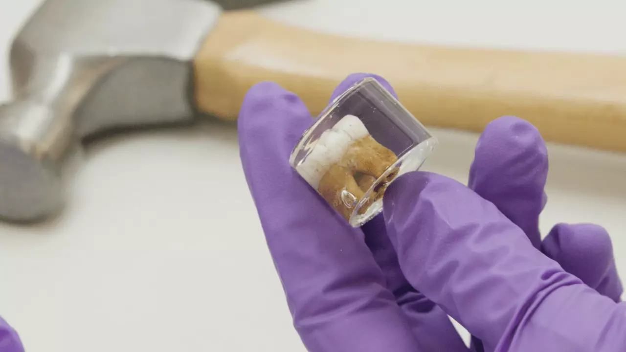 Análise de dentes neandertais revela exposição inesperada ao chumbo
