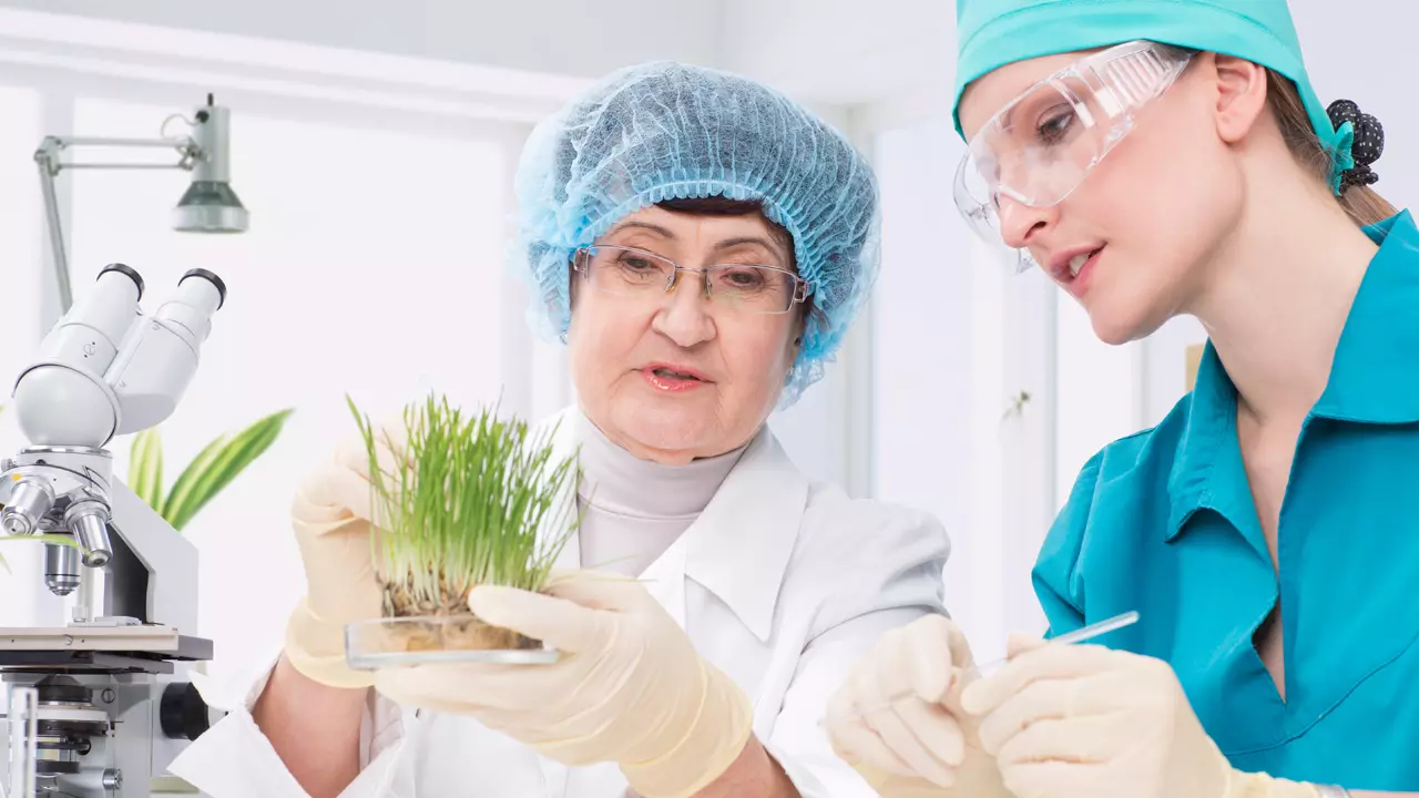 Chính phủ Úc có kế hoạch thu hút thêm nhiều phụ nữ làm việc trong STEM