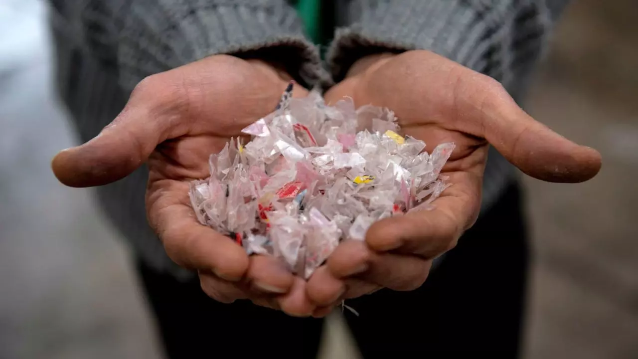 Aktîvîstên Louisiana bi sûcên terorîzmê re rû bi rû ne, 15 sal di girtîgehê de ji ber şanoya plastîk a bê zirar