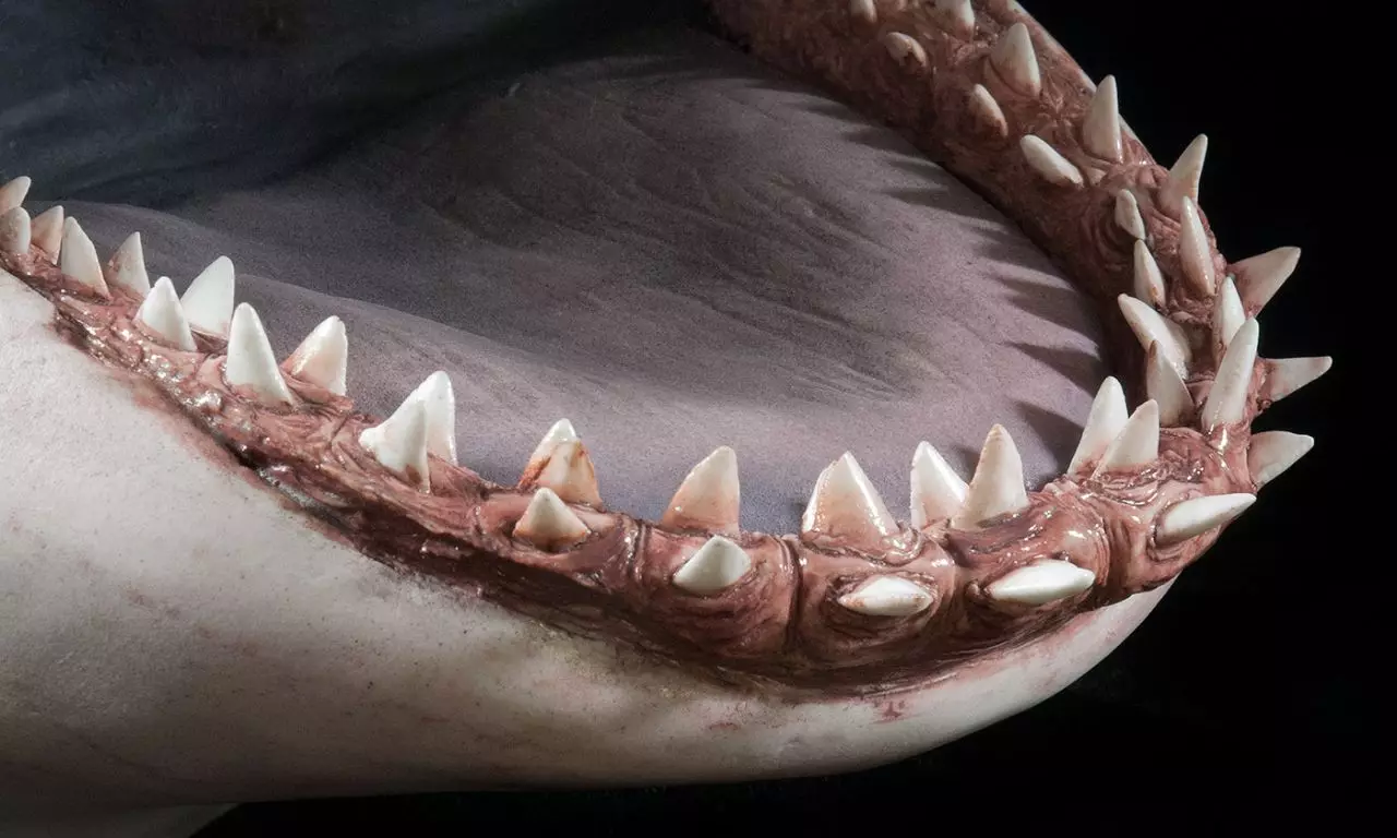 您可以自定义此 Jaws Shark Bust 上的戈尔细节级别