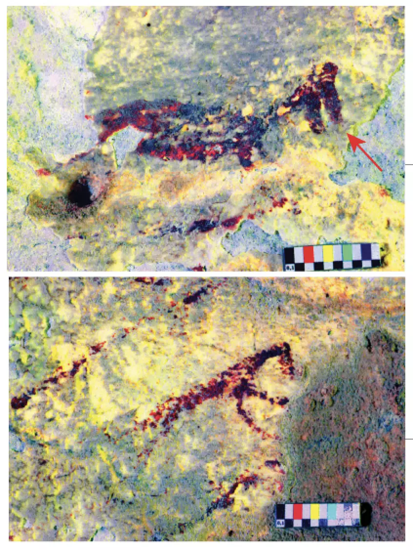 A pintura rupestre de 44.000 anos de antigüidade podería ser a primeira representación coñecida de caza