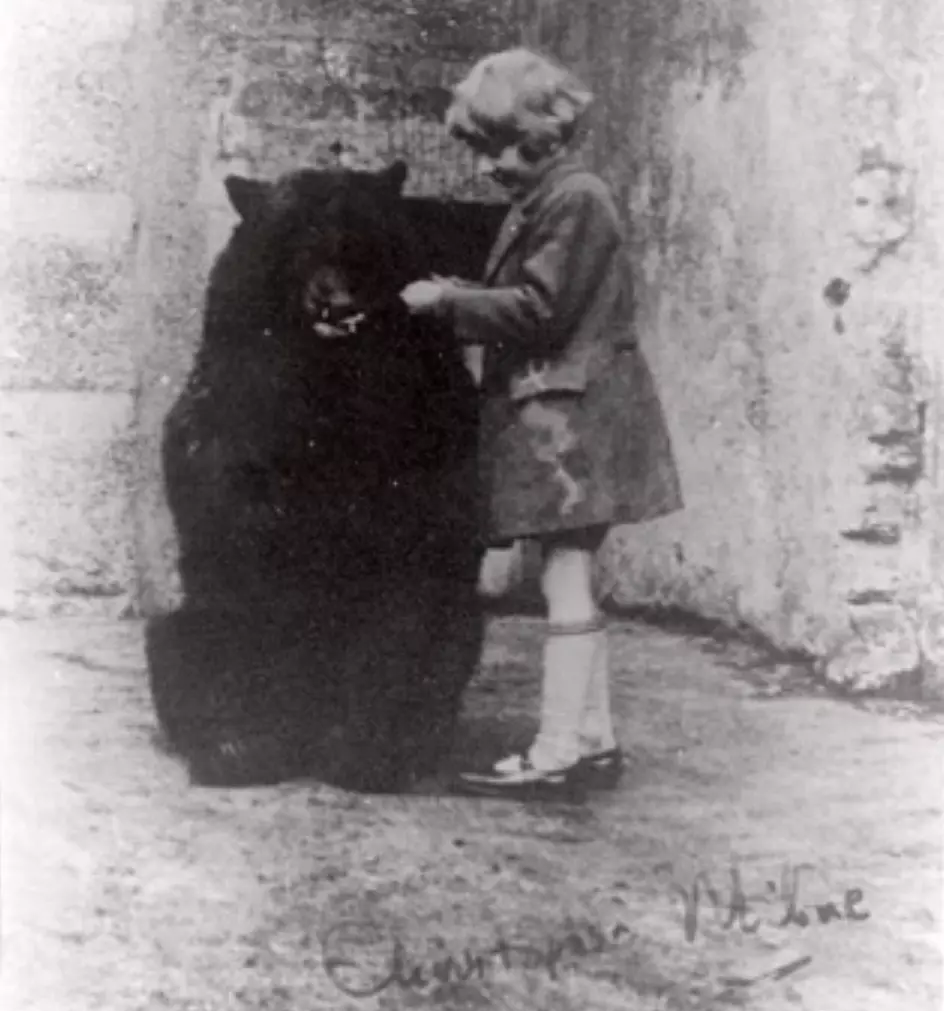 Karupoeg Puhh põhines tõelisel karul, kes osales Esimeses maailmasõjas