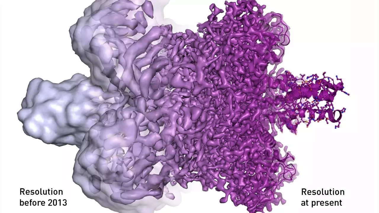 Aquí tes algunhas imaxes incribles feitas posibles polo Premio Nobel de Química deste ano