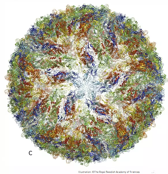 Aqui estão algumas imagens incríveis possibilitadas pelo Prêmio Nobel de Química deste ano