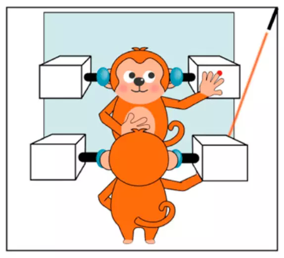 Οι πίθηκοι μαθαίνουν να περνούν ένα κλασικό τεστ για την αυτογνωσία