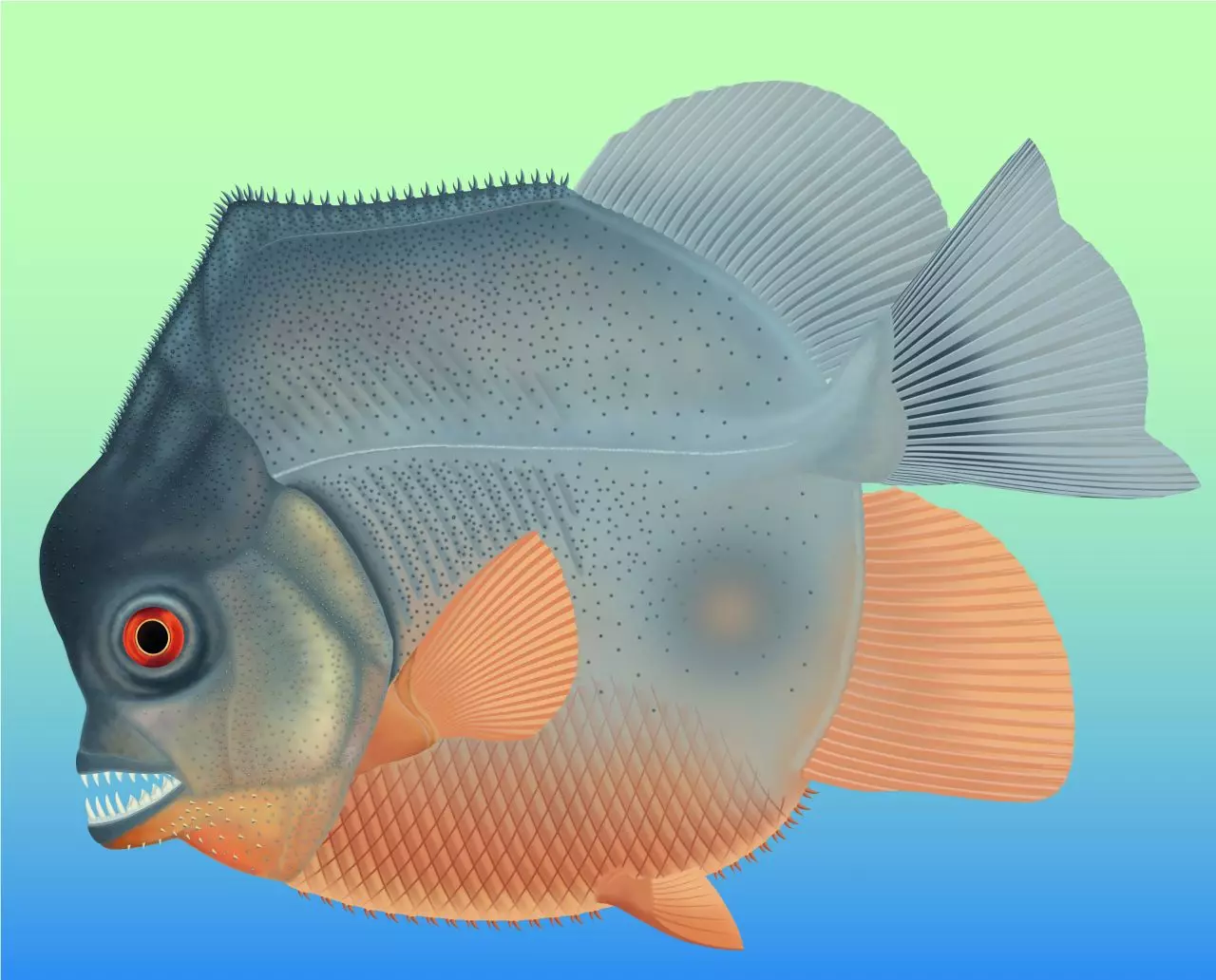 Kjøttspisende, Piranha-lignende fisk terroriserte Jurassic Seas For selvfølgelig gjorde de det