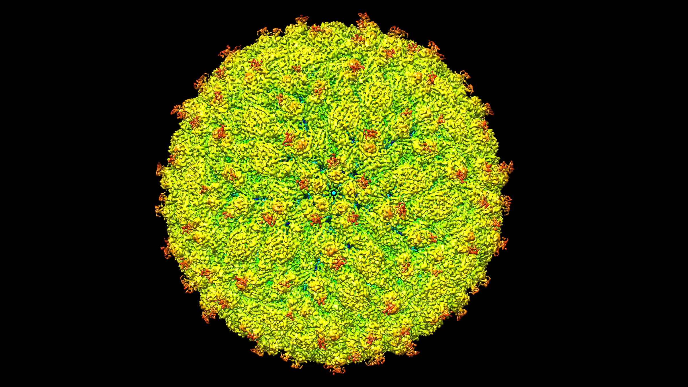 Jak byly vyrobeny úžasné obrázky viru Zika pomocí techniky oceněné Nobelovou cenou