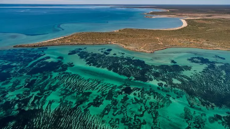 Panempoan hawa padang rumput laut sareng tanjung di Shark Bay