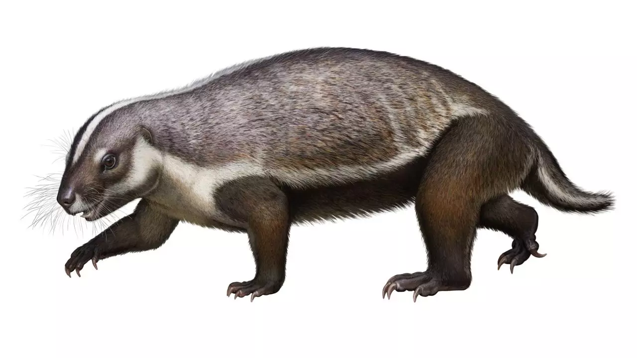 In Madagaskar entdecktes Fossil „Crazy Beast“ enthüllt bizarres Säugetier aus der Kreidezeit