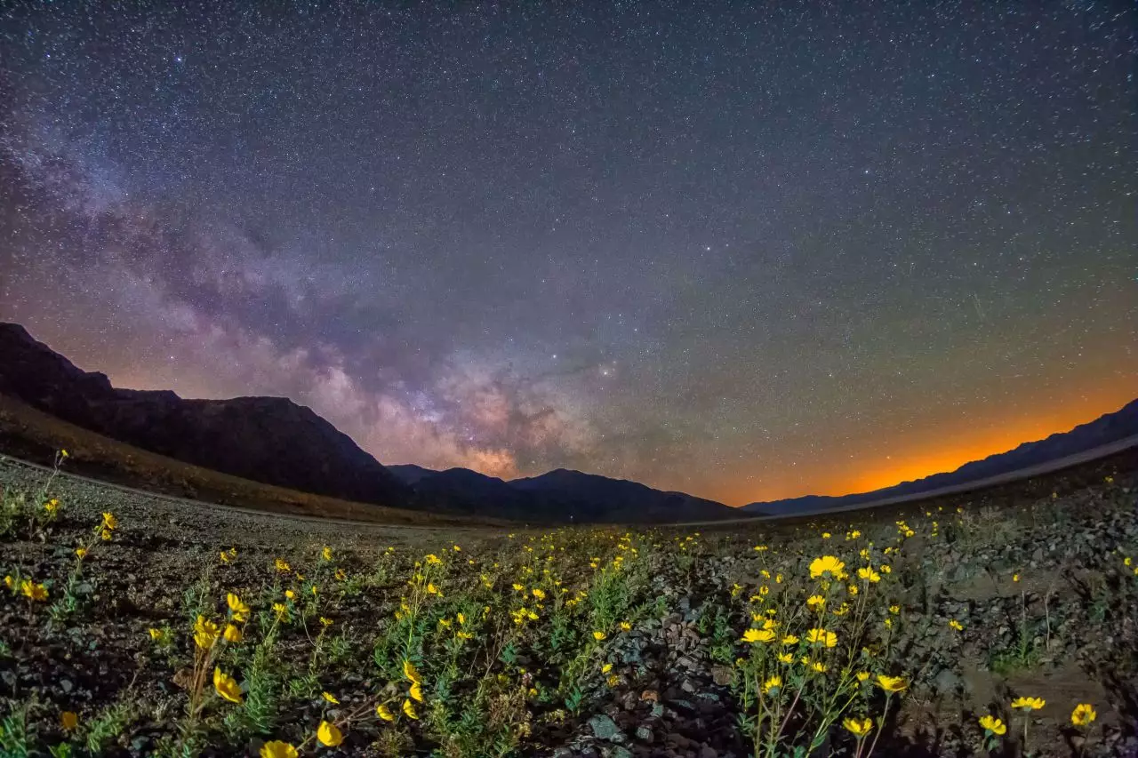 Údolie smrti Super Bloom je neuveriteľné