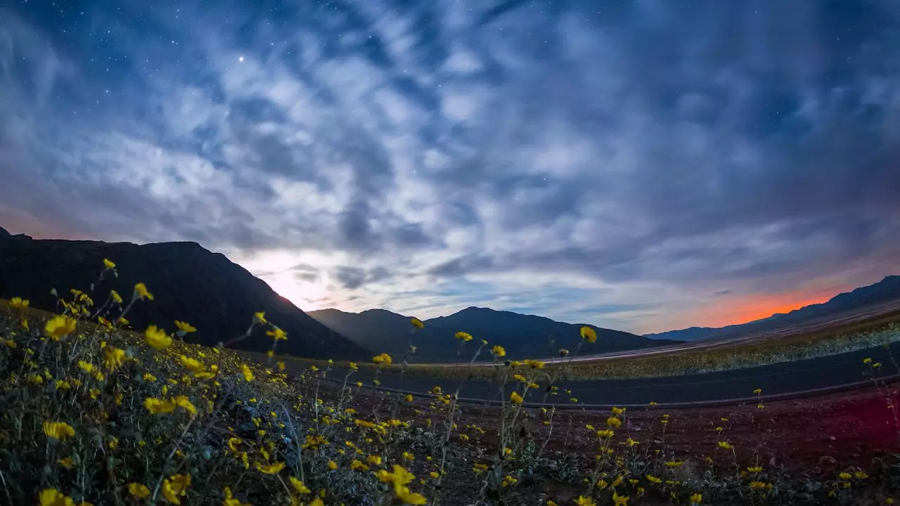 Kwarin Mutuwa Super Bloom Abin Mamaki ne