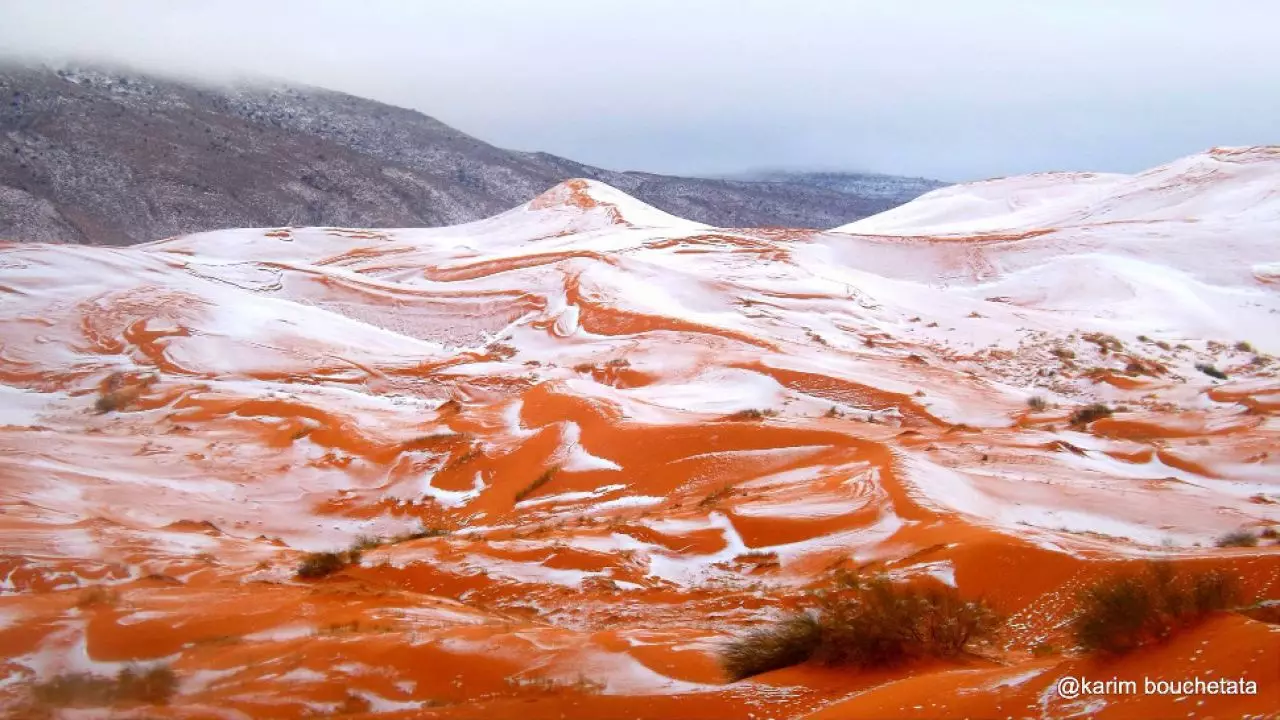 Zdjęcia dziwacznych opadów śniegu na Saharze wyglądają nierealnie