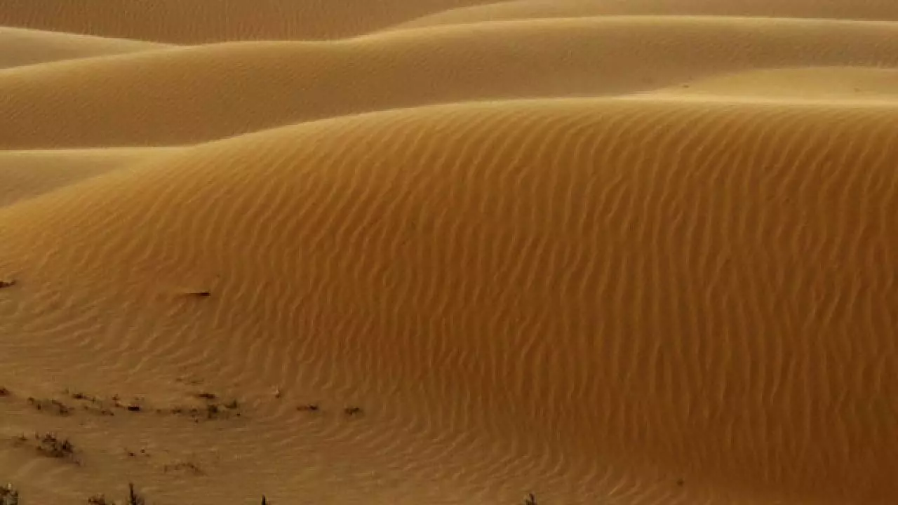 Des scientifiques ont rasé un désert avec des bulldozers pour étudier les dunes de sable