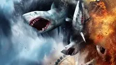 Ranking Shark Smarts of Horror's Most Toothsome Predators