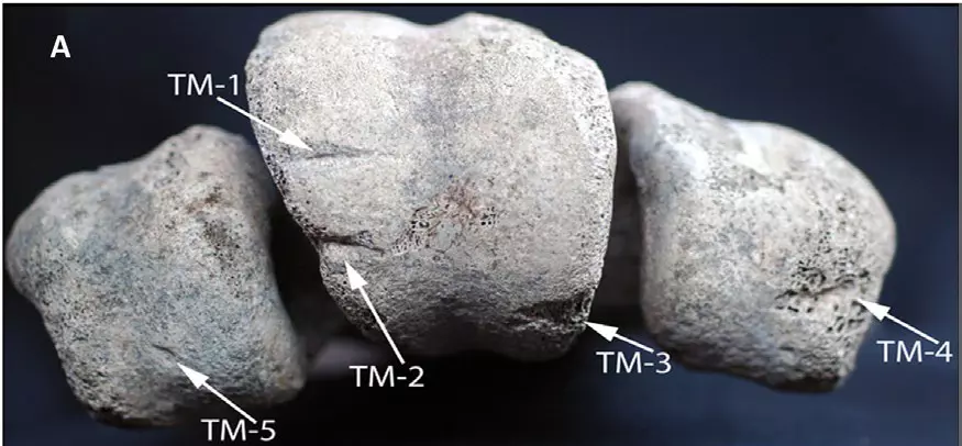 ადამიანები მადაგასკარში ცხოვრობდნენ 6000 წლით ადრე, ვიდრე ფიქრობდნენ