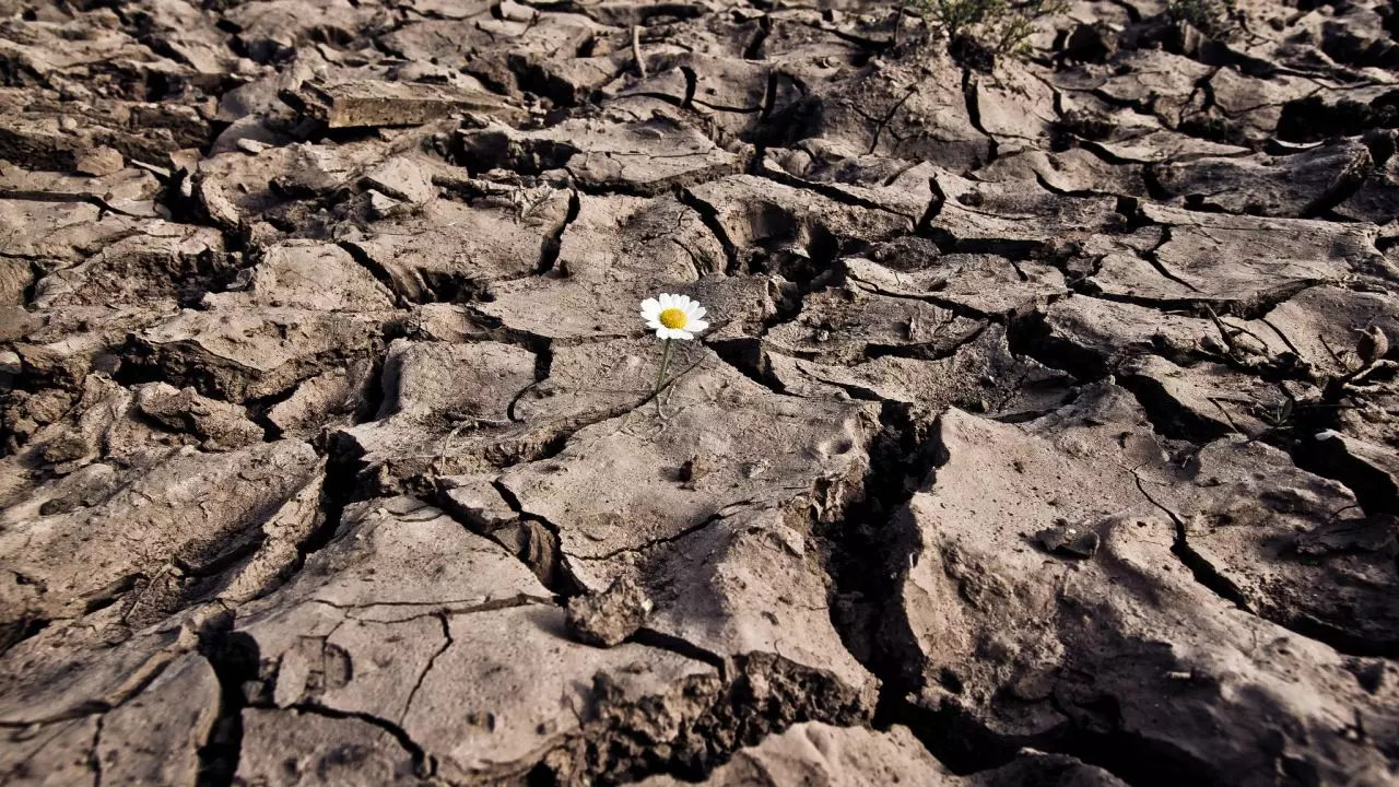 La Niña Imefika