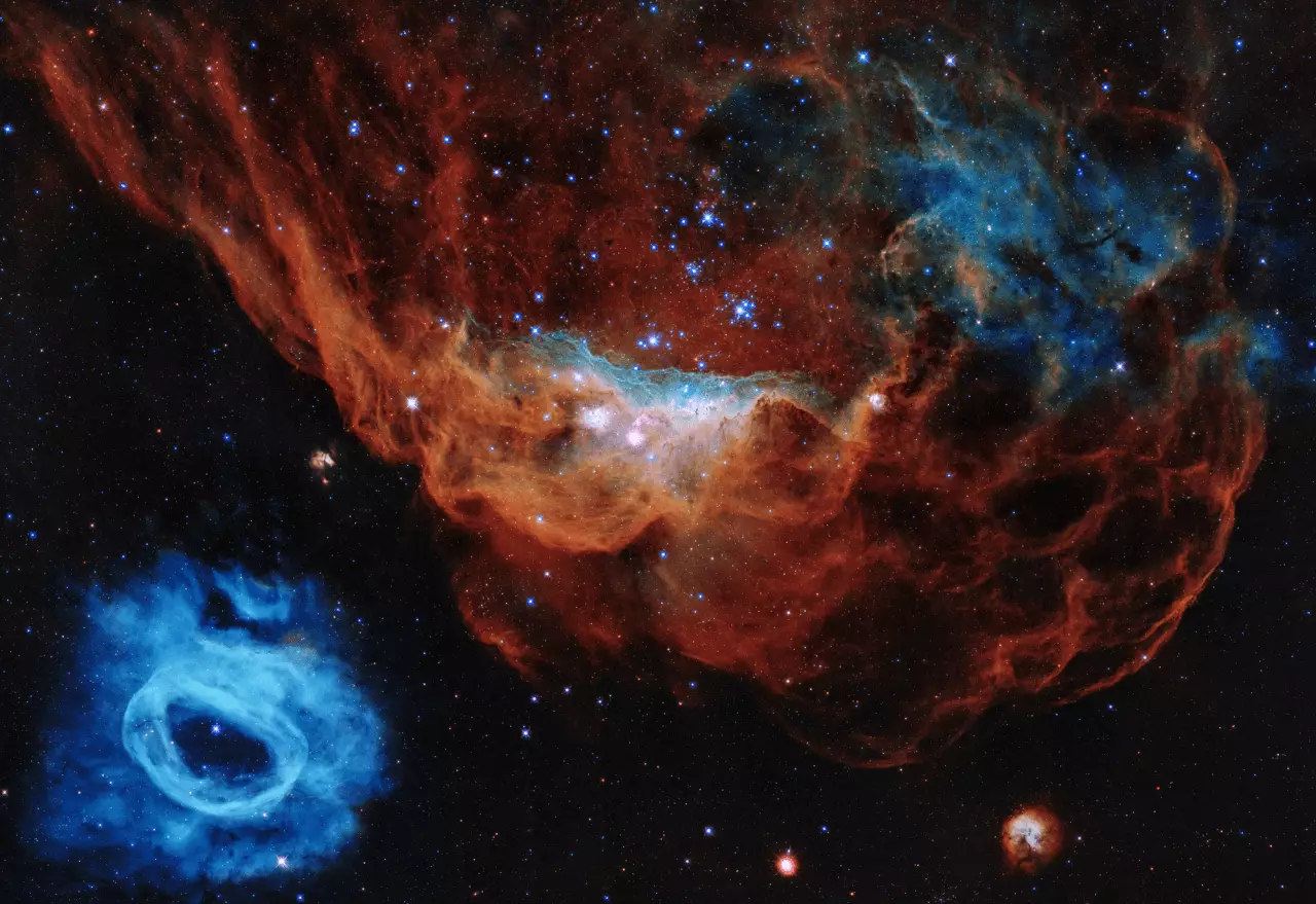 Nebula beureum raksasa (NGC 2014) sareng tatangga biru anu langkung alit (NGC 2020). (Gambar: NASA, ESA sareng STScI)