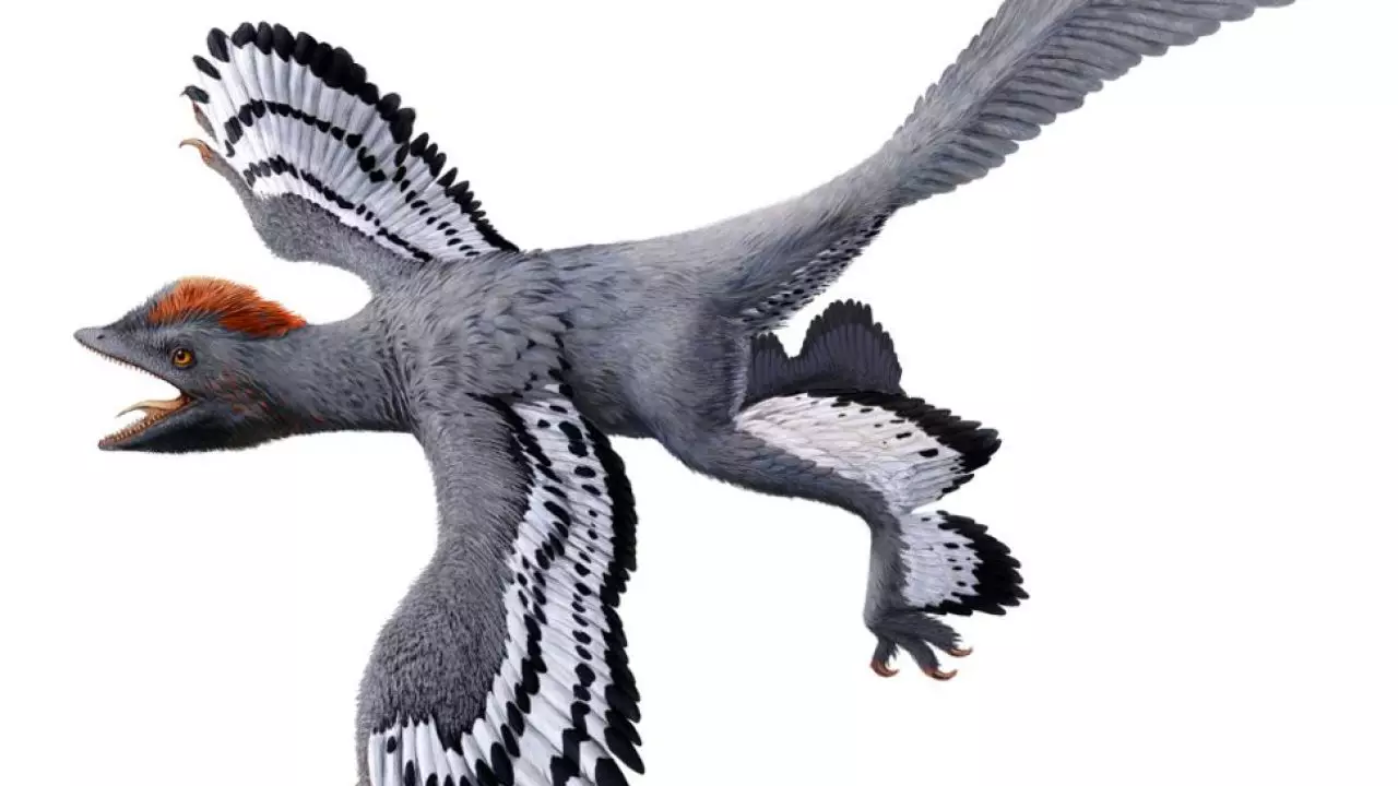 Denne laserrekonstruktion af en firvinget dinosaur er utrolig