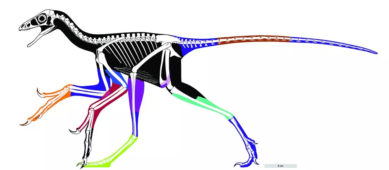 Esta reconstrução a laser de um dinossauro de quatro asas é incrível