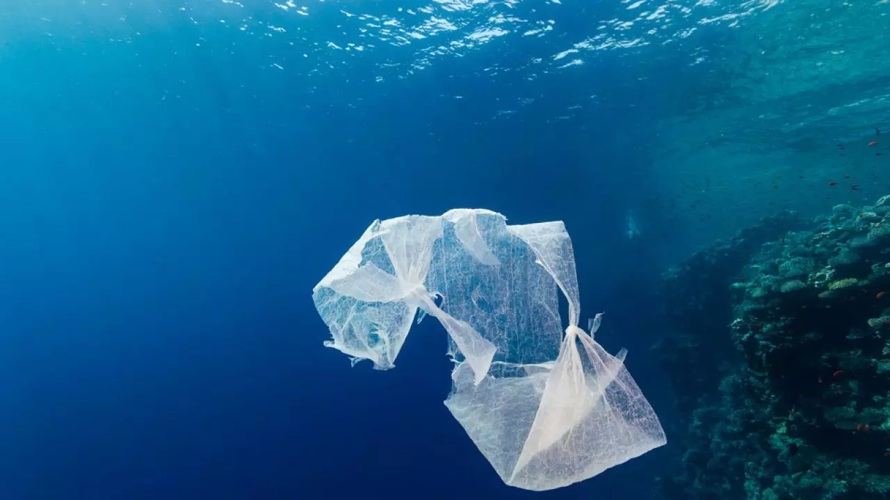 Estamos vaciando los océanos de peces y llenándolos de plástico