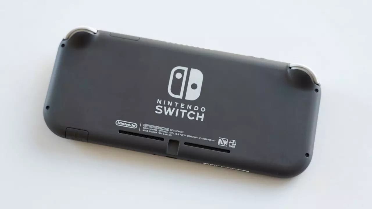 Nintendo Switch Lite គឺជាការចាក់ឡើងវិញដ៏ល្អឥតខ្ចោះ 767_6