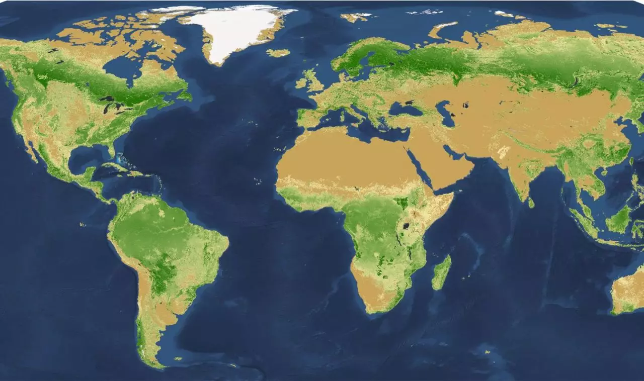 Lidé vyhladili polovinu stromů světa
