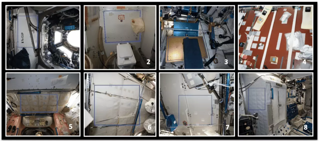 A Estación Espacial Internacional é un pozo de fungos e bacterias, segundo un estudo