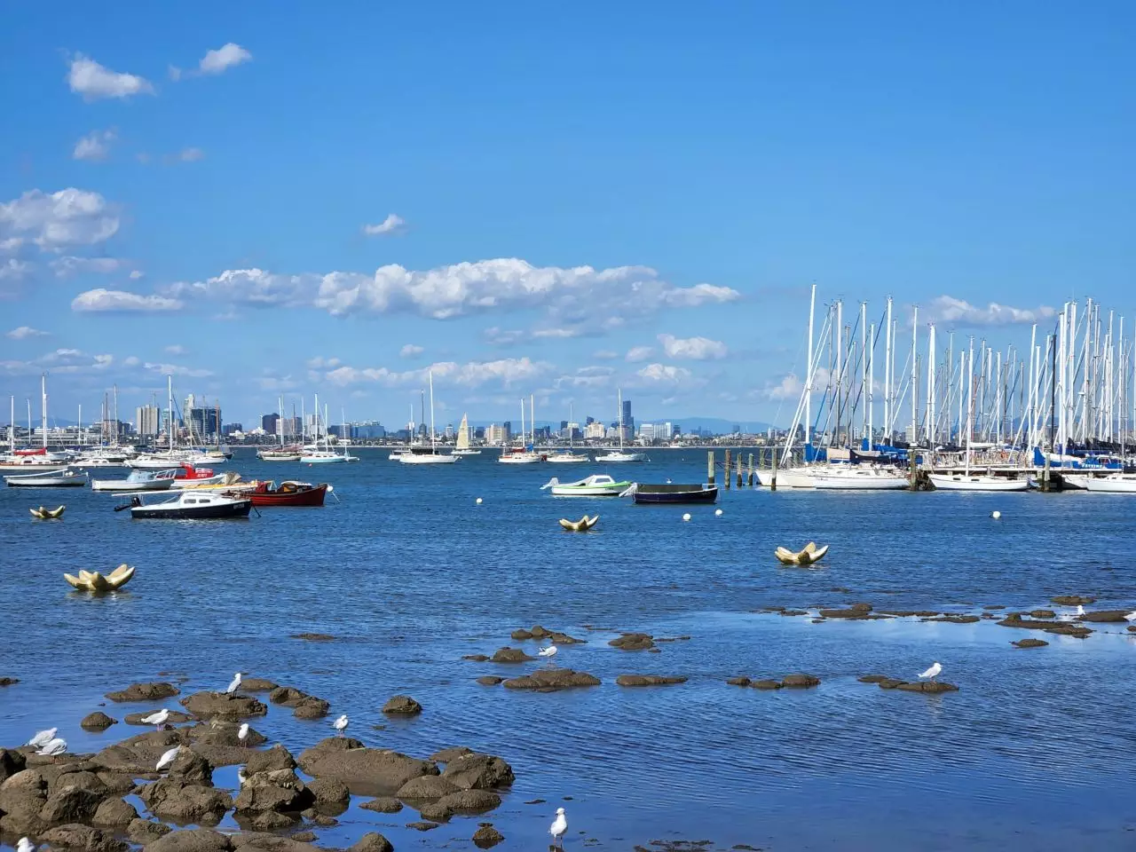 Unha foto duns barcos na auga nun día claro