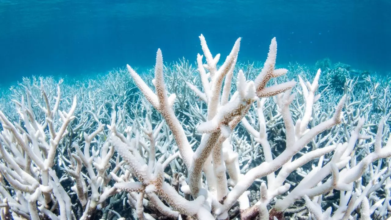 Lokale klimaer vil ændre sig, selvom den globale opvarmning standses, og vi er nødt til at forstå hvordan