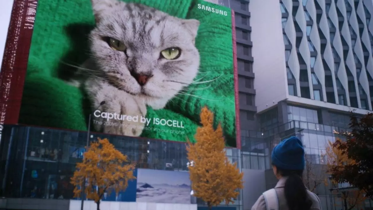 Ta čudovita fotografija mačke s 616 kvadratnih metrov je vpogled v prihodnost mobilne fotografije