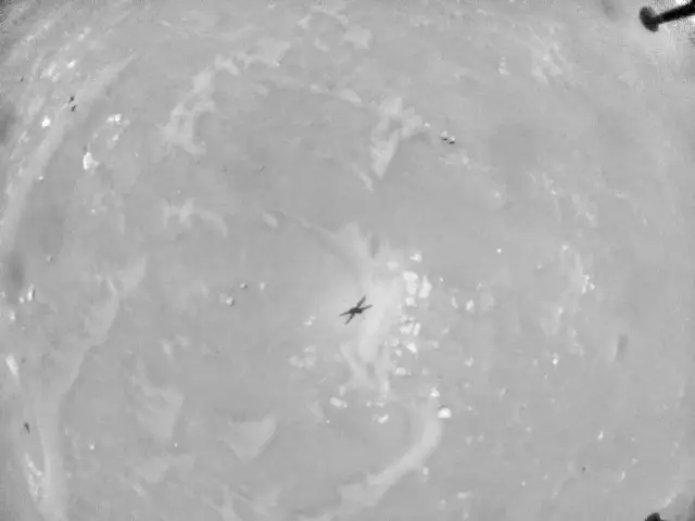 6回目の飛行の最後の29秒を描いた一連の画像。 （GIF：NASA / JPL-Caltech）