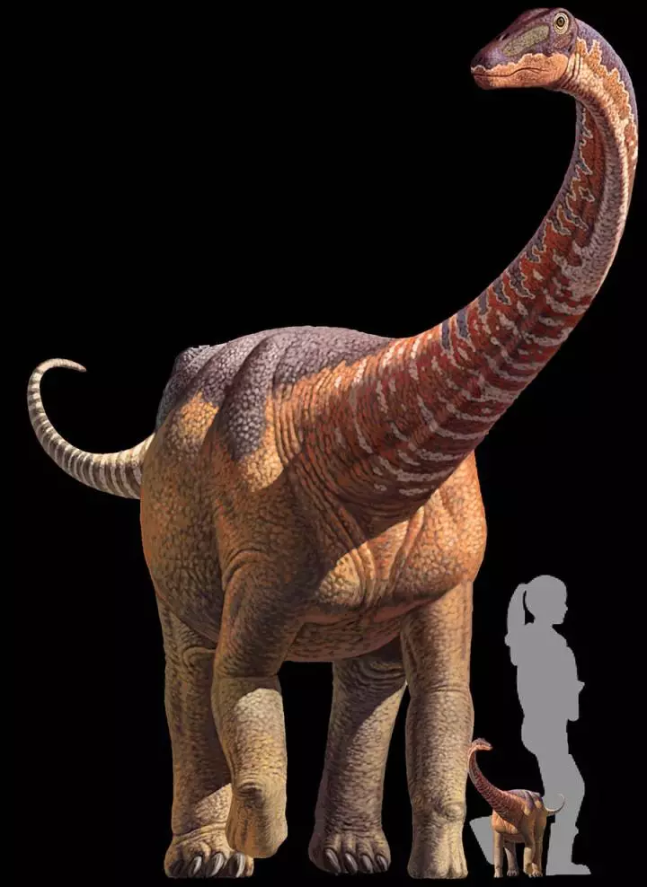 Dinosaurus Gigantic kudu tuwuh kanthi cepet