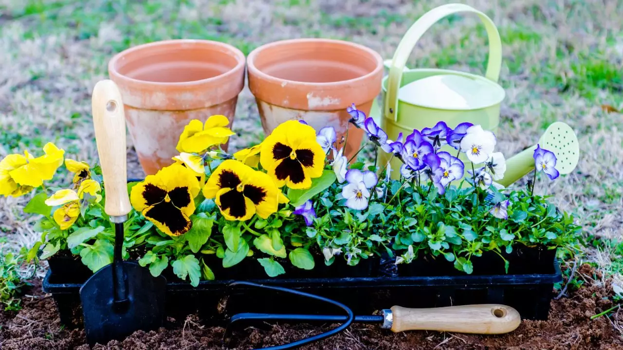 Slik gjør du hagen din klar for vårplanting