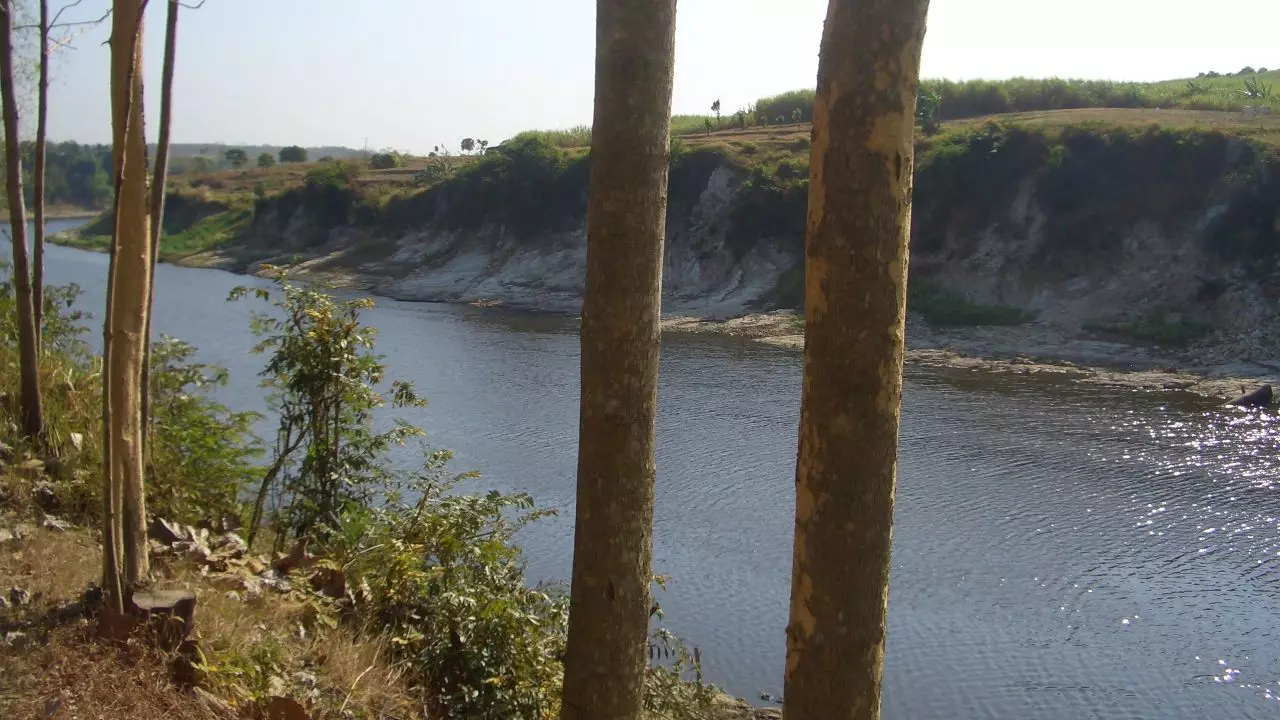 Ғалымдар жойылып бара жатқан адам түрінің соңғы жойылуына жаңа жарық түсірді