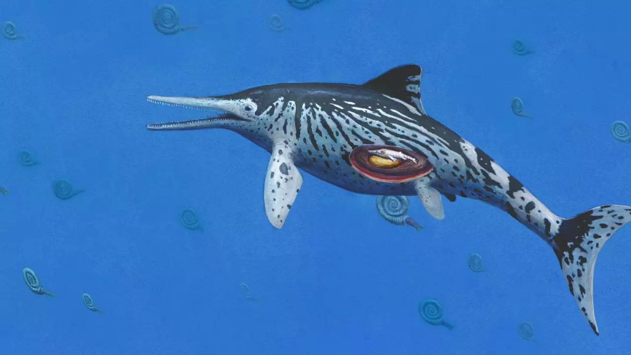 अहिलेसम्म पत्ता लागेको सबैभन्दा ठूलो Ichthyosaurus जीवाश्ममा अप्रत्याशित उपहार समावेश छ