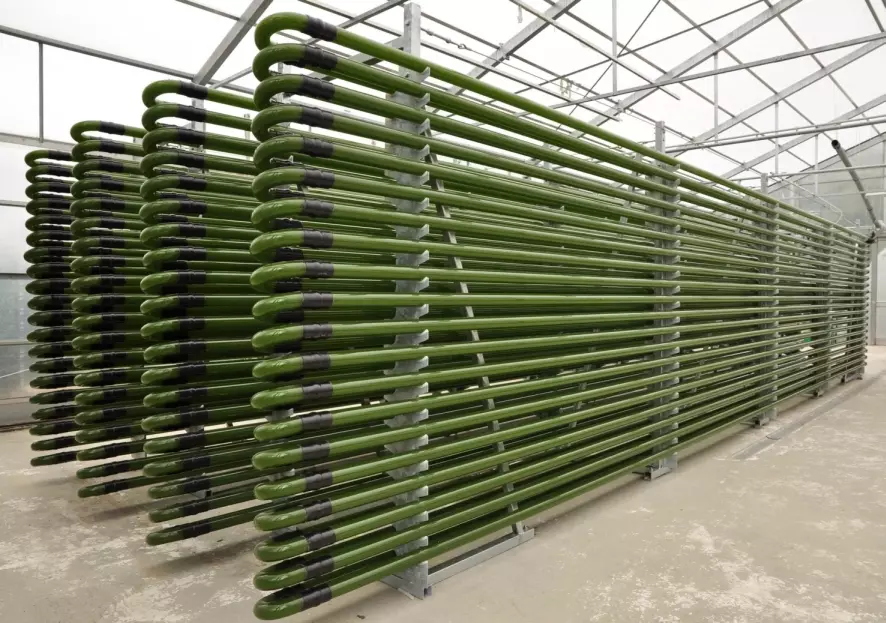 Vertical Farming သည် ကျွန်ုပ်တို့ အစားအစာ ကြီးထွားလာပုံအား တော်လှန်ပြောင်းလဲနေသည်