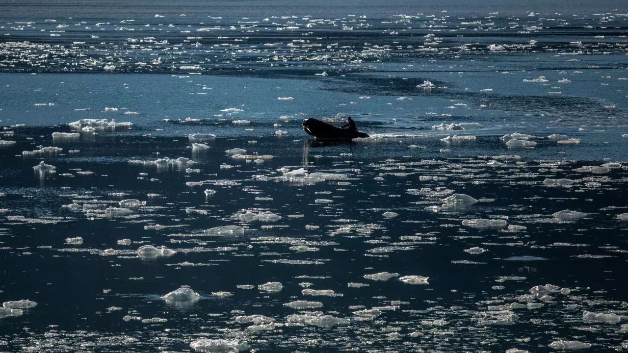 Lo nyaka umkhenkce woLwandle lweArctic uyasilela ukwenza, uphakamisa 'iflegi ebomvu' enkulu.