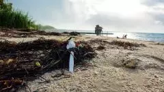 ABD, Plastik Kirliliği İçin Diğer Ülkeleri Suçlamayı Bırakmalı