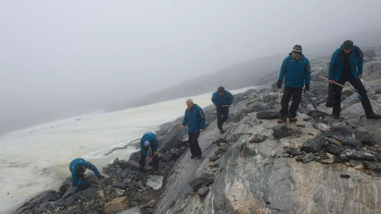يؤدي ذوبان الجليد إلى الكشف عن الممر الجبلي الذي يستخدمه الفايكنج ، بما في ذلك الكلب القديم والمقود